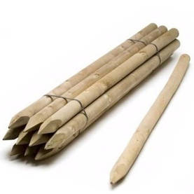 Aitatolppa, tukiseiväs tai muu puutolppa kyllästettynä